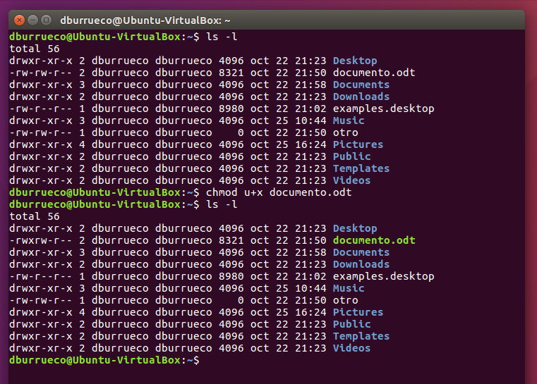 Chmod Interactive Chaos